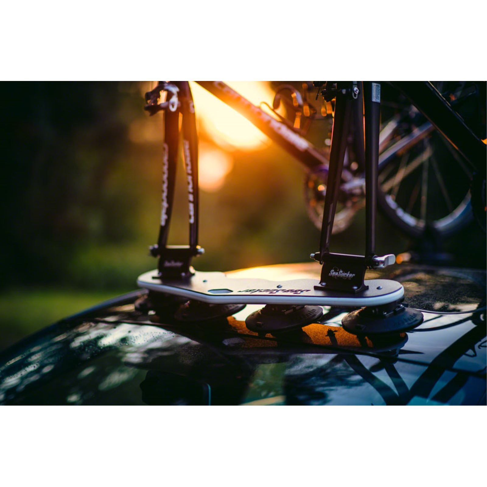SeaSucker Mini Bomber 2-Bike Roof Rack, Huske QR Fork Mounts and Rear ...